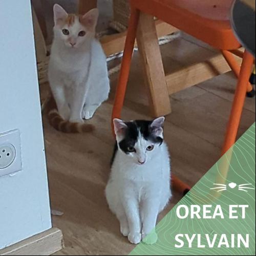 Image Orea et Sylvain
